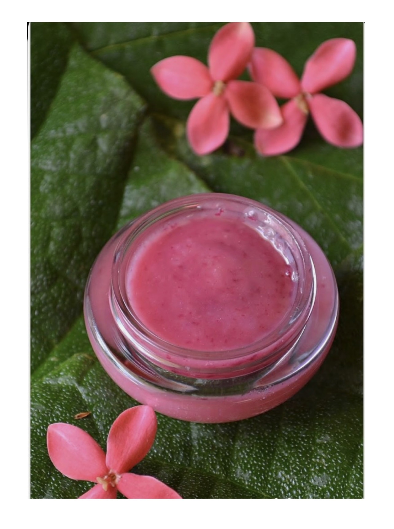 Pink Lips Balm - Enhle Organics